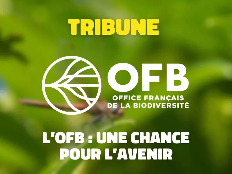 Soutien aux agences publics de l'État : OFB et ADEME | FNE 04